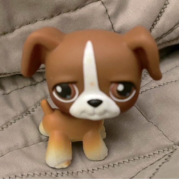 Hasbro | Toys | Littlest Pet Shop Brwn Boxer 25 Dog 34 Tall Puppy ...